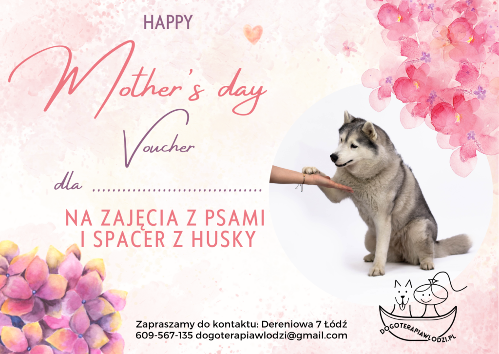 VOUCHER Z OKAZJI DNIA MAMY - ZAJĘCIA z PSAMI i SPACER z HUSKY w 2024 ...